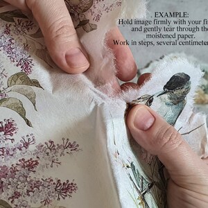 Decoupage Rice Paper WINTER ANIMALS R1629 - Etsy