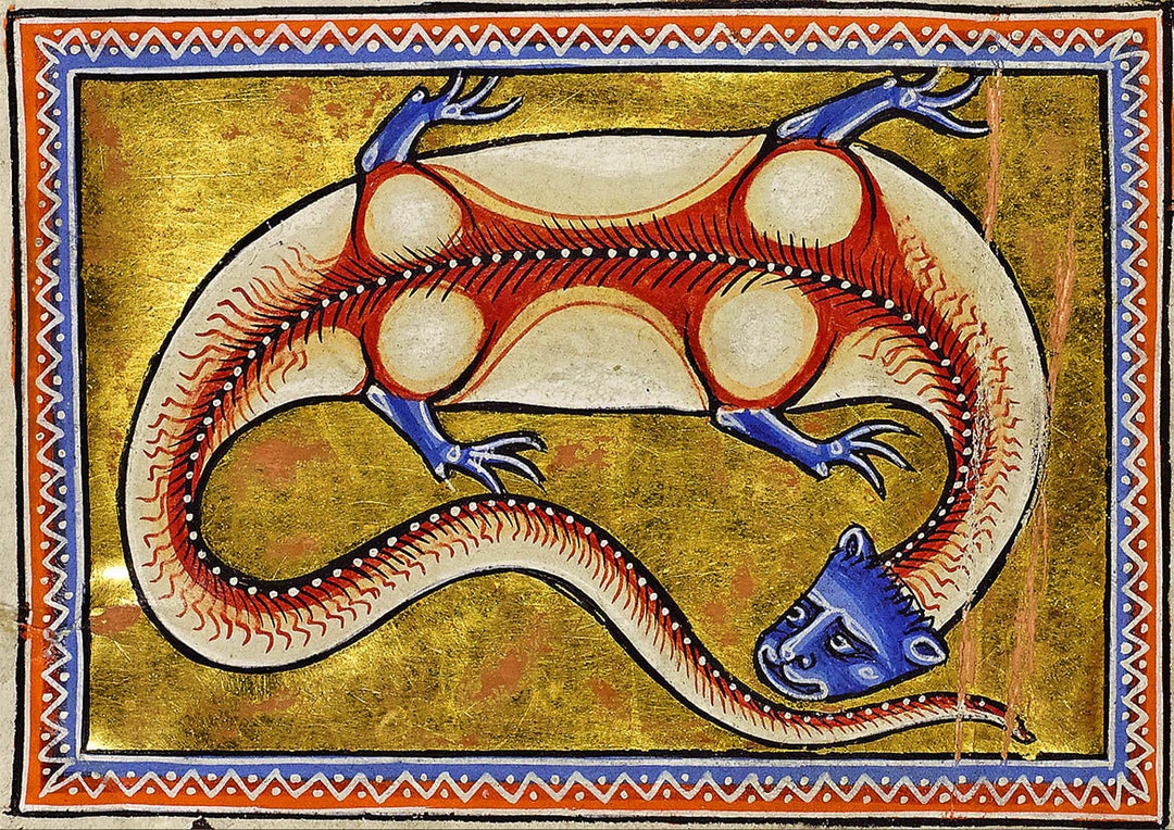 Aberdeen Bestiary: Siren Salamander. (12th Century Illuminated Medieval ...