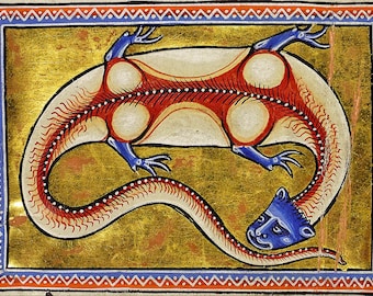 Two Vultures Medieval miniature Antique bird art Medieval bestiary art ...