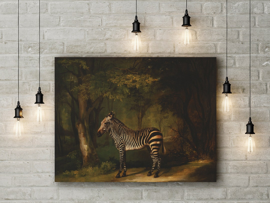 Premium Canvas Art Print of George Stubbs: Zebra - Etsy