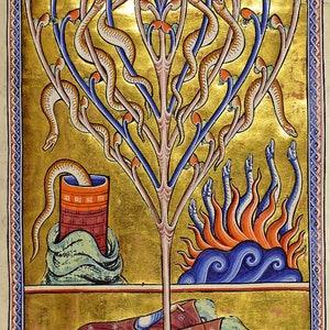 Aberdeen Bestiary: Salamanders. (12th Century Illuminated Medieval ...