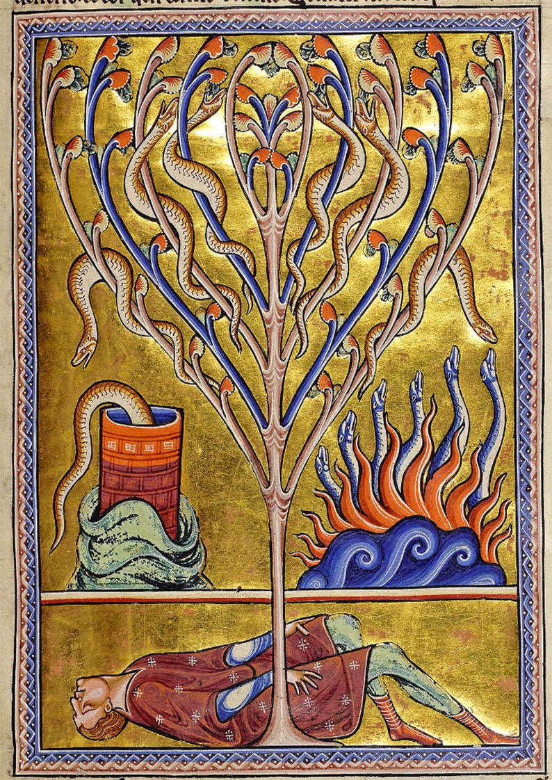 Aberdeen Bestiary: Salamanders. (12th Century Illuminated Medieval ...