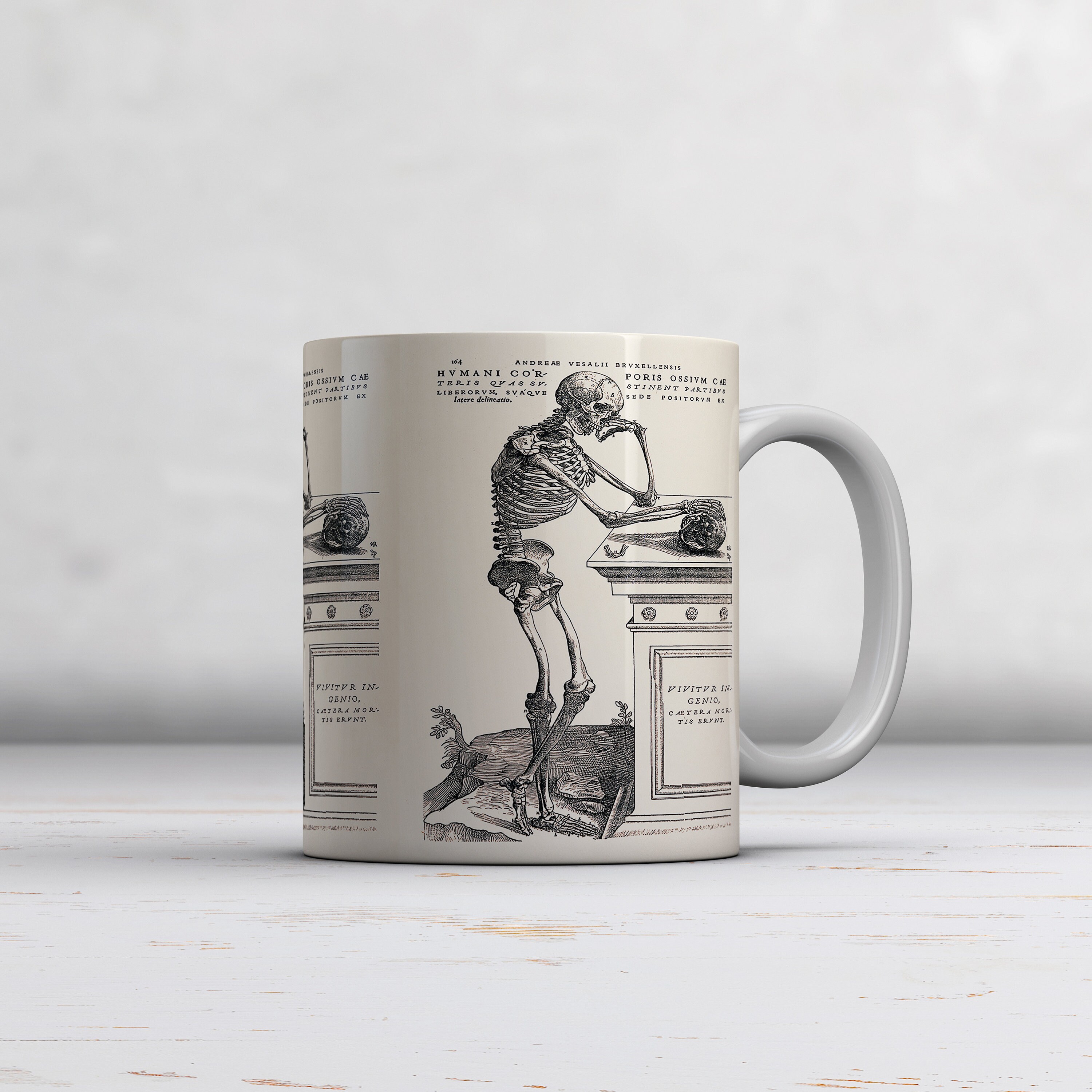 Andreas Vesalius Human Anatomy Print Skeleton Contemplating a - Etsy