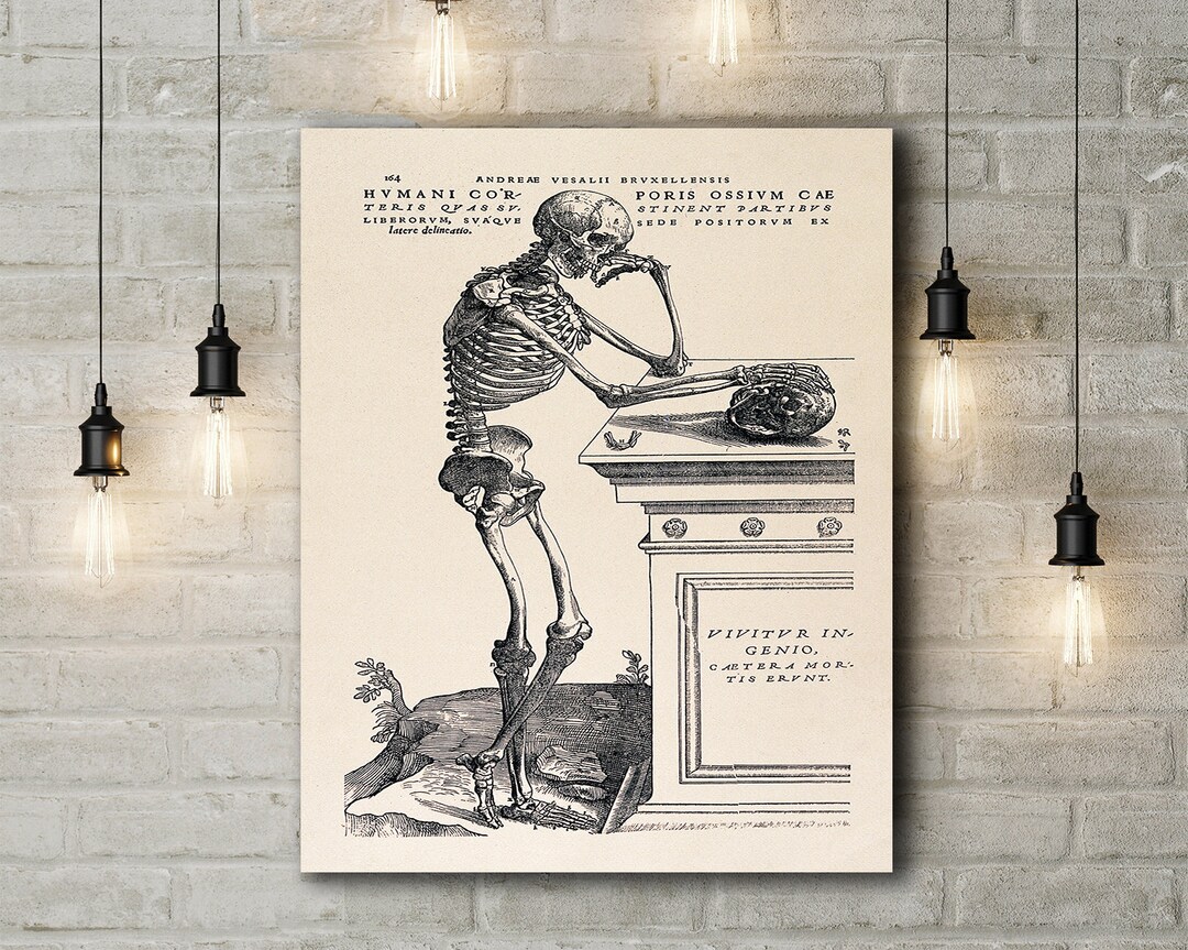 Canvas Art Print of Andreas Vesalius: Human Anatomy - Skeleton ...