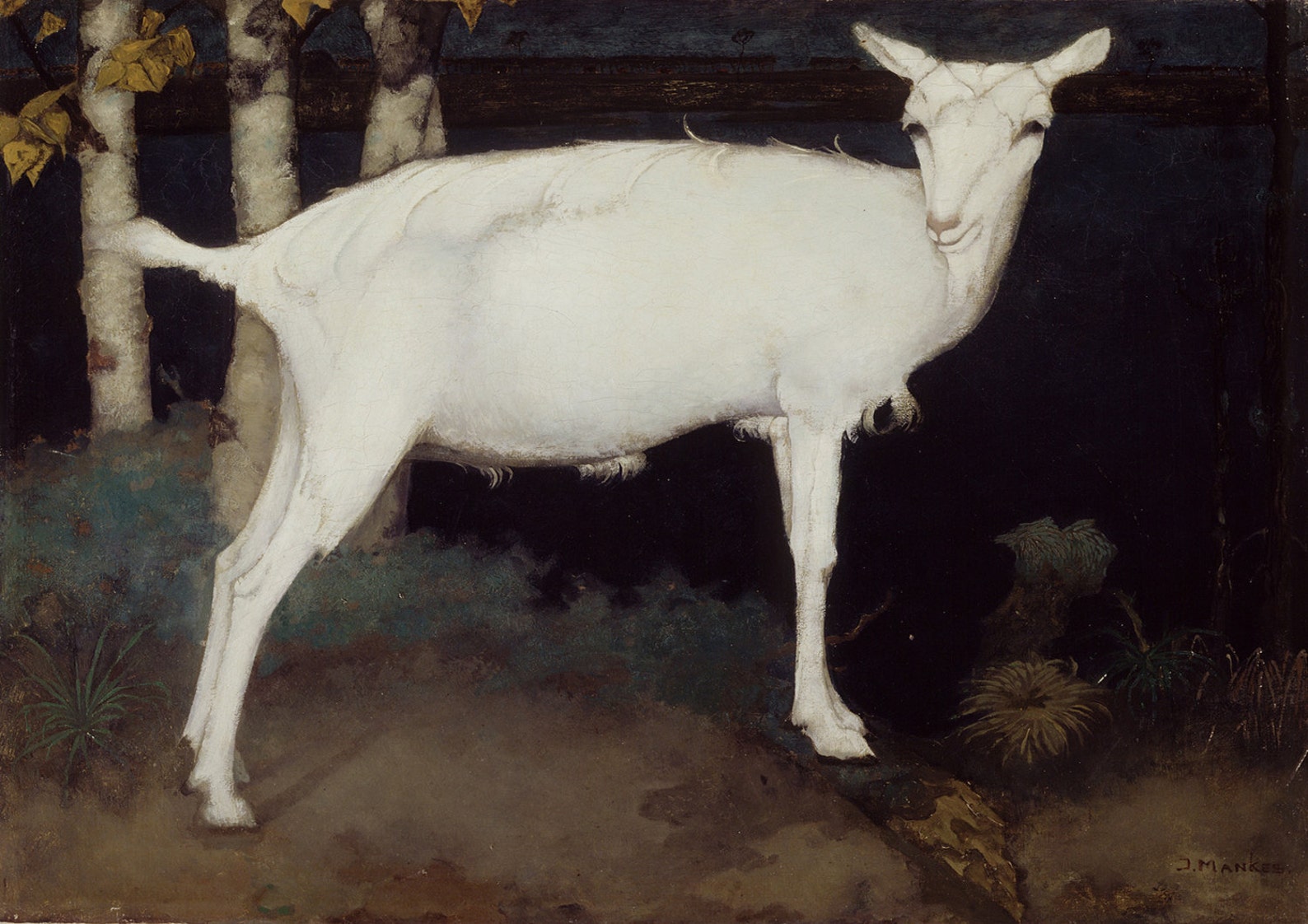 Jan Mankes: Young White Goat. Fine Art Print/poster (00514) - Etsy