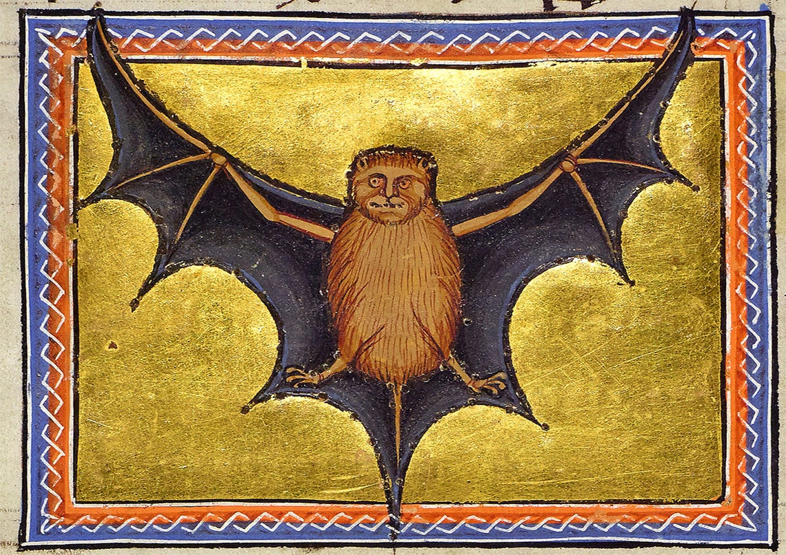 Aberdeen Bestiary: Bat. 12th Century Illuminated Medieval - Etsy UK