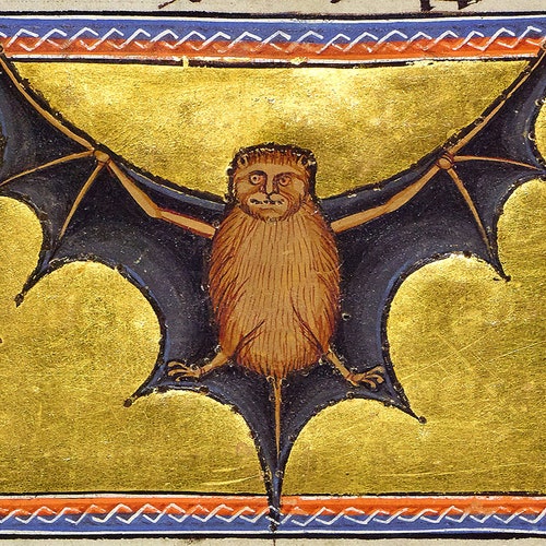 Aberdeen Bestiary: Bat. 12th Century Illuminated Medieval - Etsy