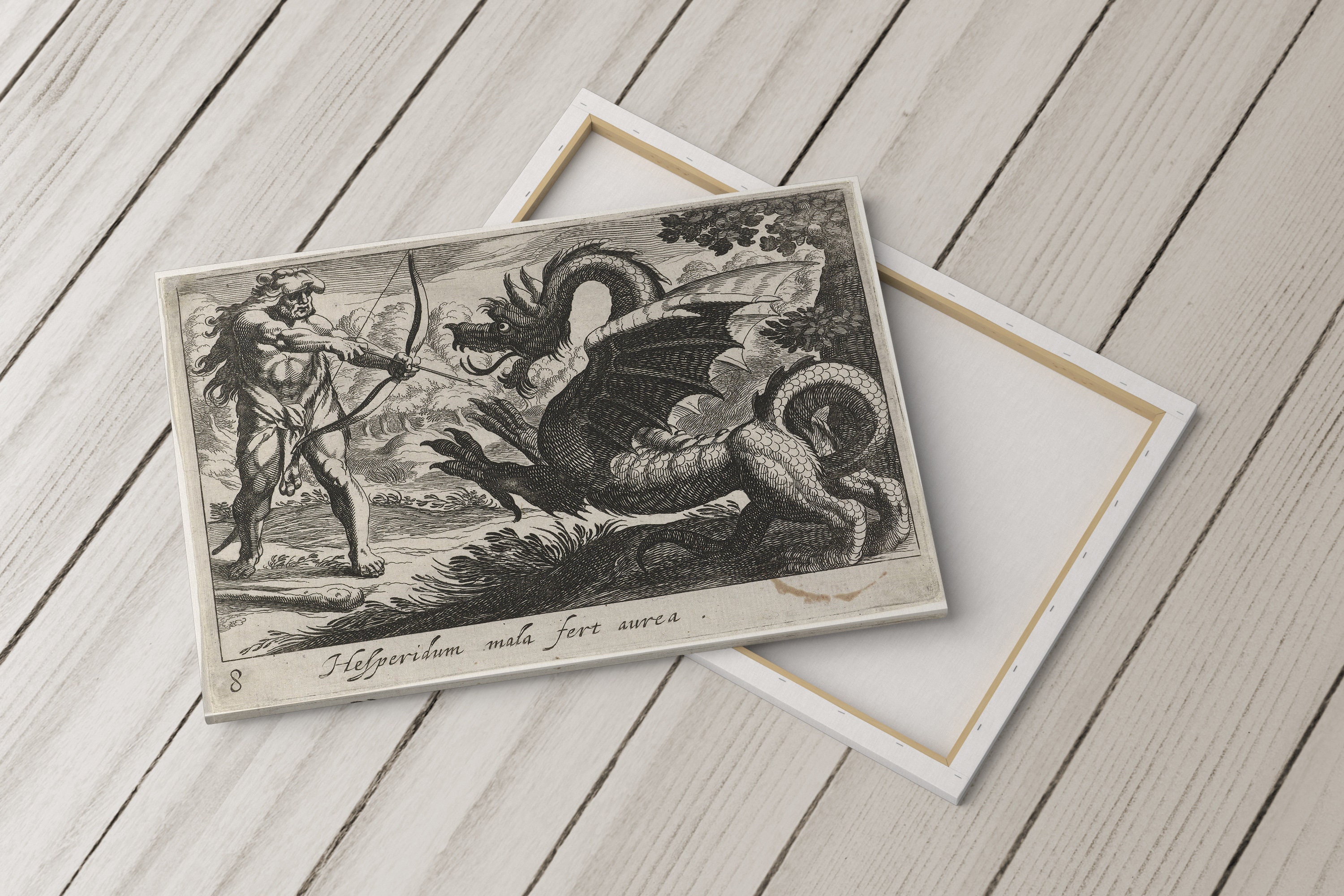 Canvas Art of Slays the Dragon Ladon Simon Frisius. Large | Etsy