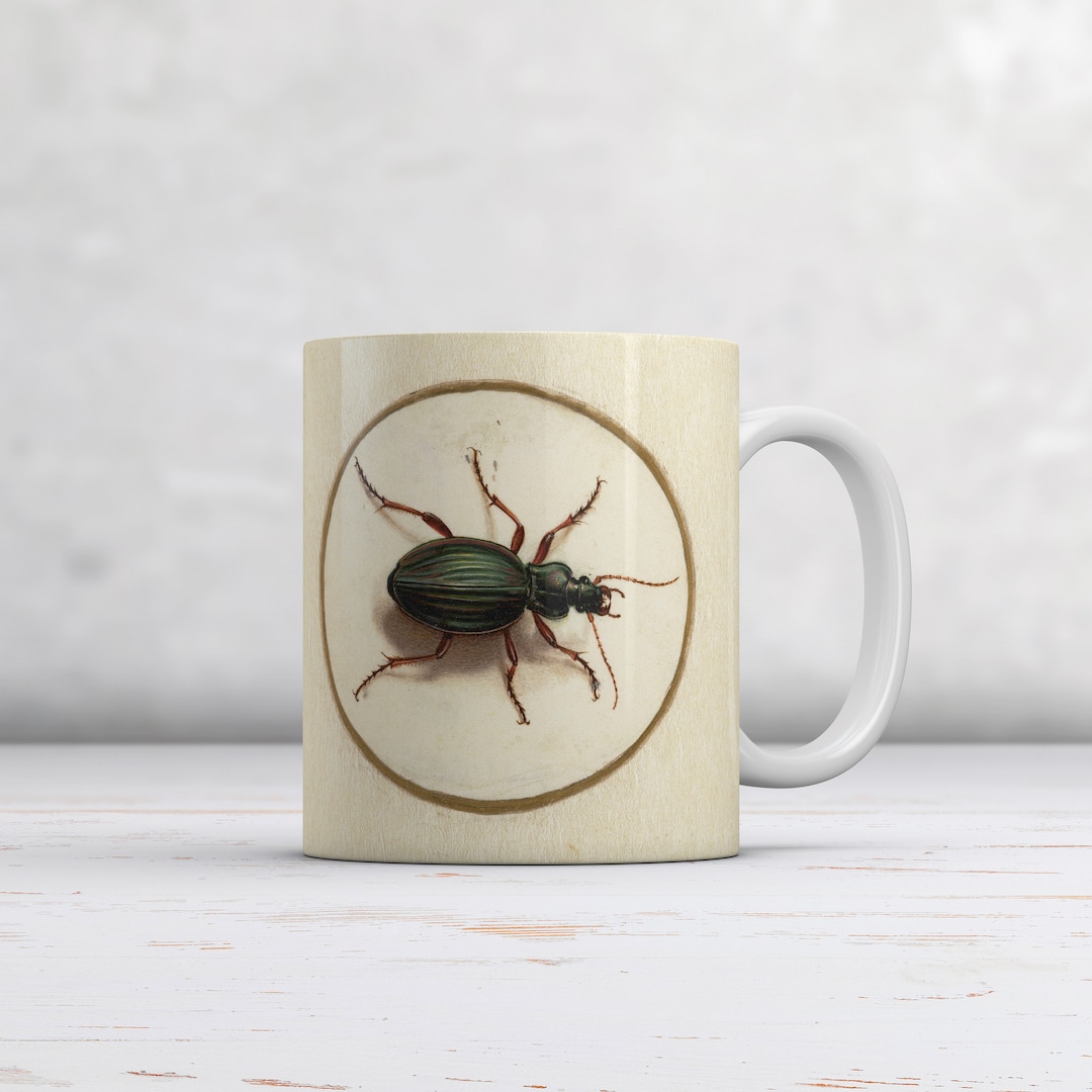 Jan Augustin van der Goes: Maggiolino. Tazza/Coppa di Belle Arti. Caffè ...