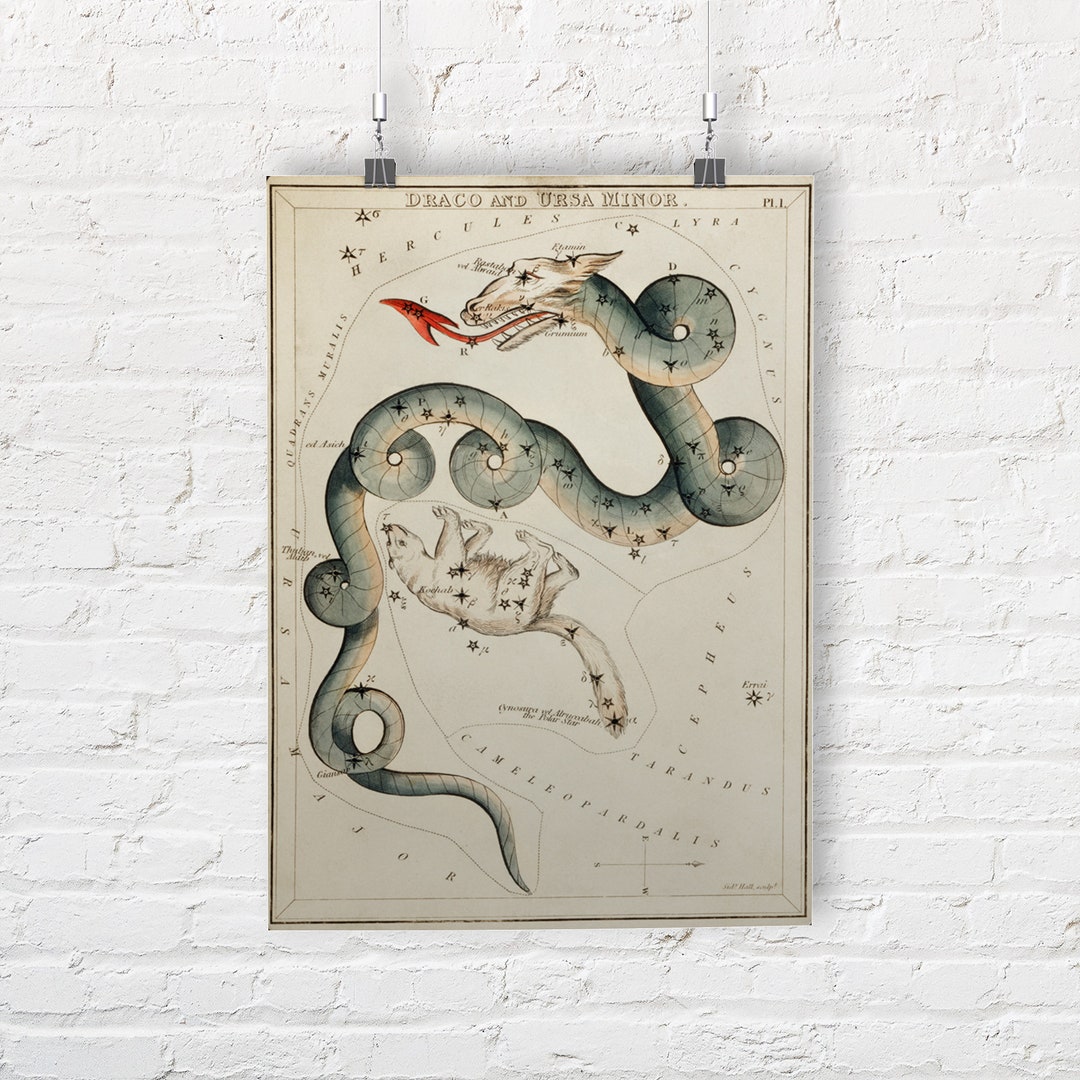 Constellation: Draco and Ursa Minor. Fine Art Print/poster - Etsy