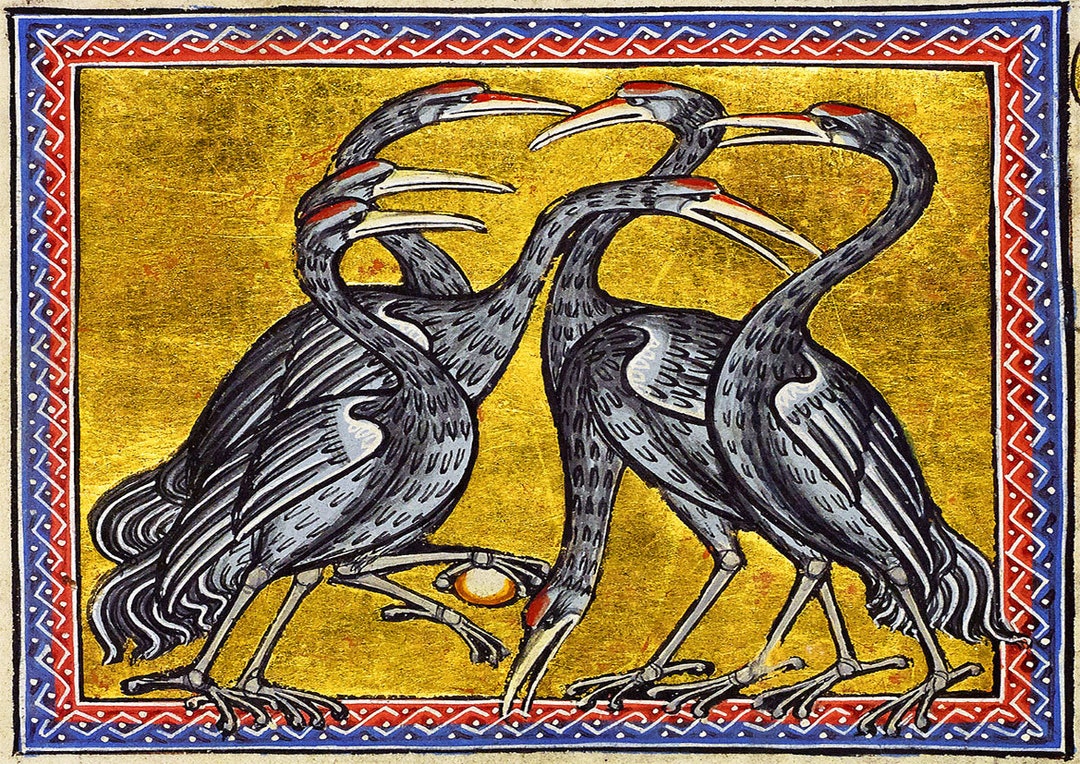 Aberdeen Bestiary: Cranes (12th Century Illuminated Manuscript). Fine ...