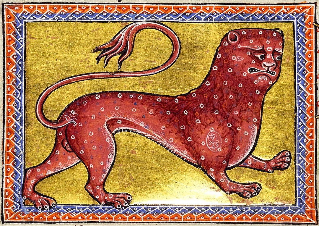 Aberdeen Bestiary Leopard (12th Century Illuminated Manuscript). Fine ...