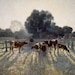Elioth Gruner: Spring Frost. Fine Art Print/poster (004453) - Etsy