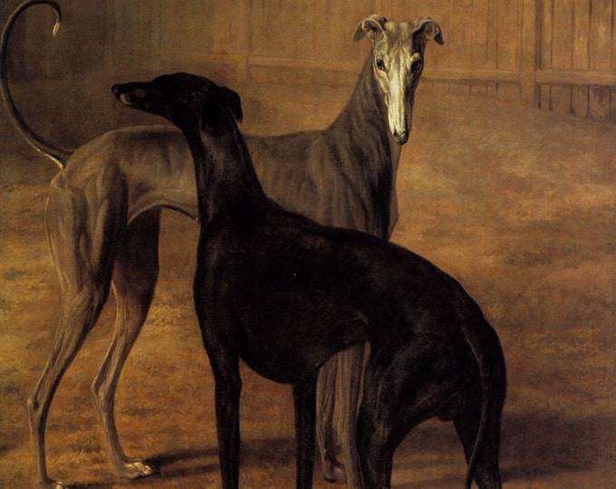 Albrecht Durer: Bat. Fine Art Print/poster. 003641 - Etsy