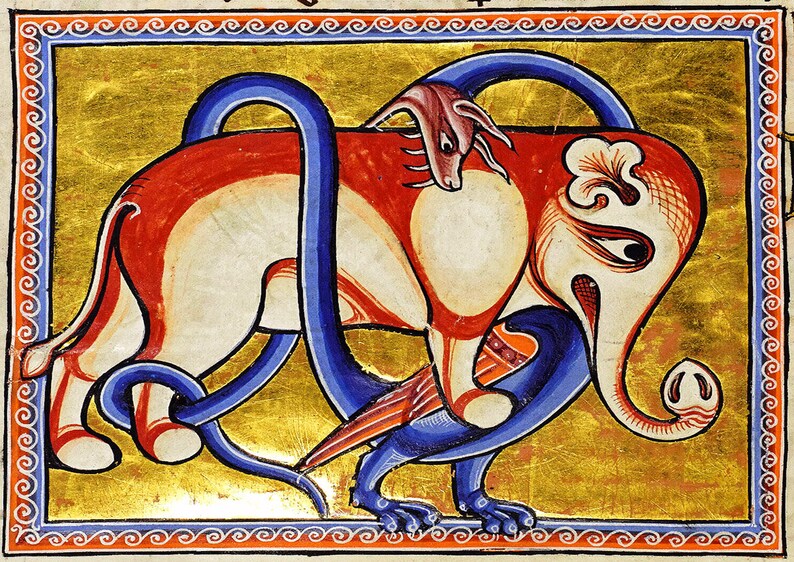 Aberdeen Bestiary Elephant and Dragon (12th Century Illuminated ...