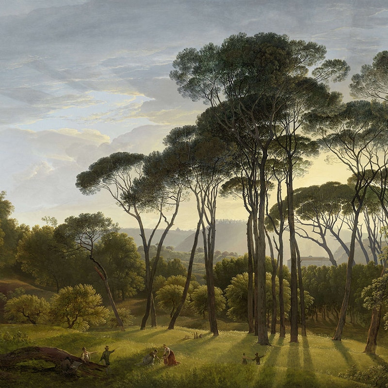 Umbrella Pine Italy - Etsy UK