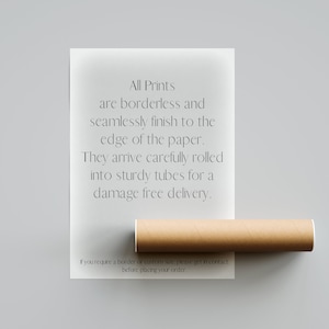 Upland Moa, Megalapteryx Didinus. Extinct Birds Fine Art Print/poster ...