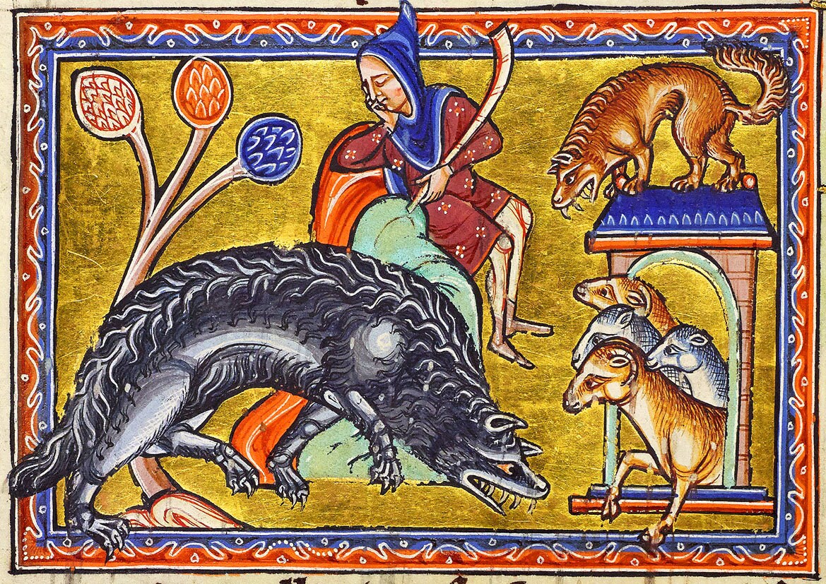 Aberdeen Bestiary: Wolf Sneaking up to the Sheepfold 12th | Etsy