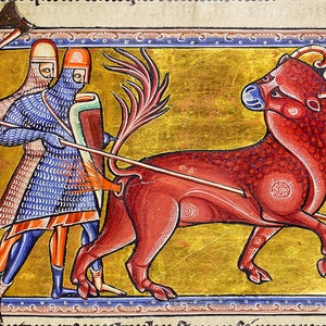 Aberdeen Bestiary: the Bonnacon (12th Century Illuminated Manuscript ...