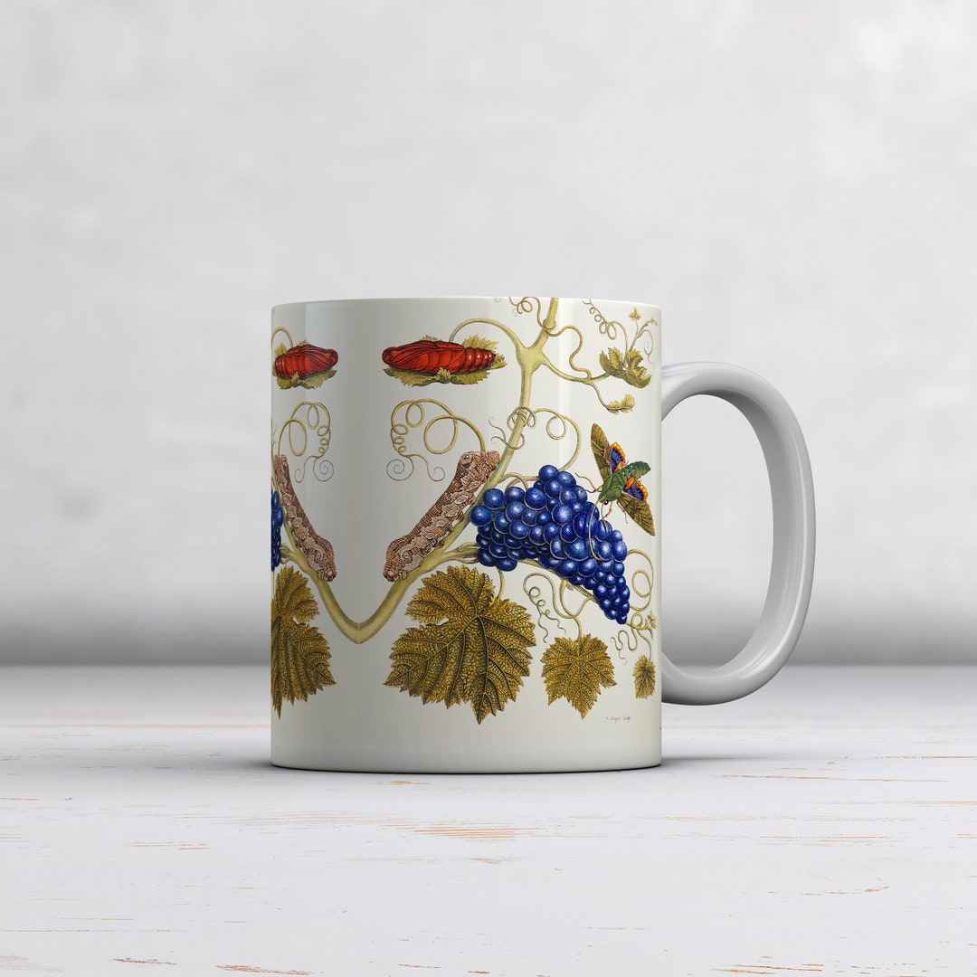 Maria Sibylla Meriam: Metamorphosis Insectorum Surinamensium. Fine Art ...