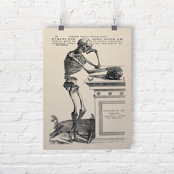 Andreas Vesalius Human Anatomy - Etsy