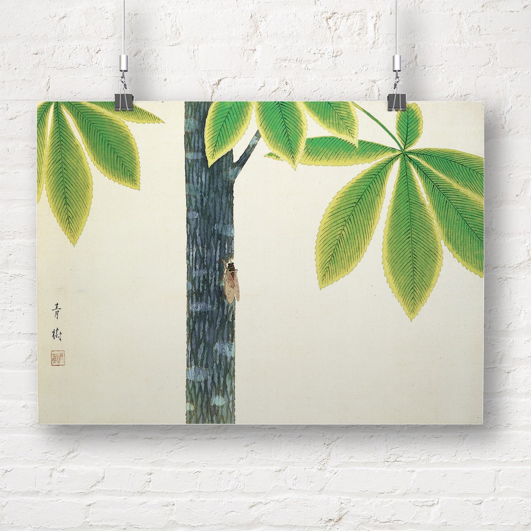 Premium Canvas Art Print of Omoda Seiju Cicada - Etsy