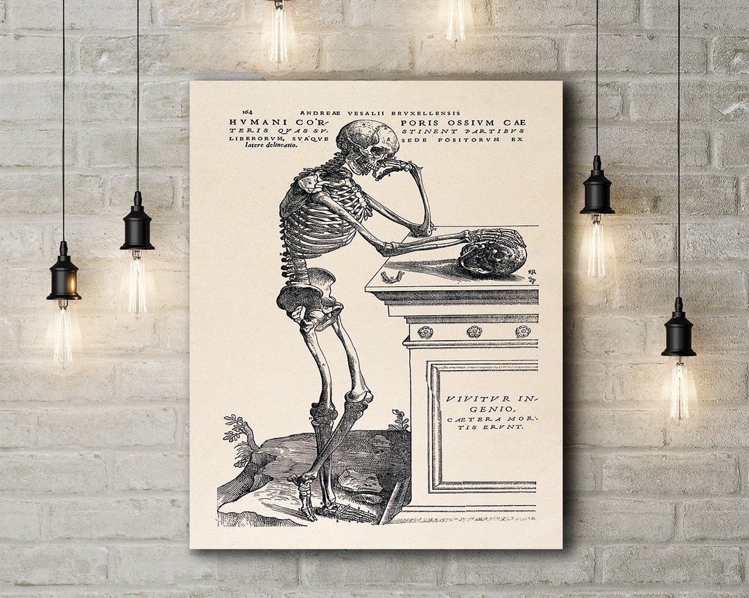 Canvas Art Print of Andreas Vesalius: Human Anatomy - Skeleton ...
