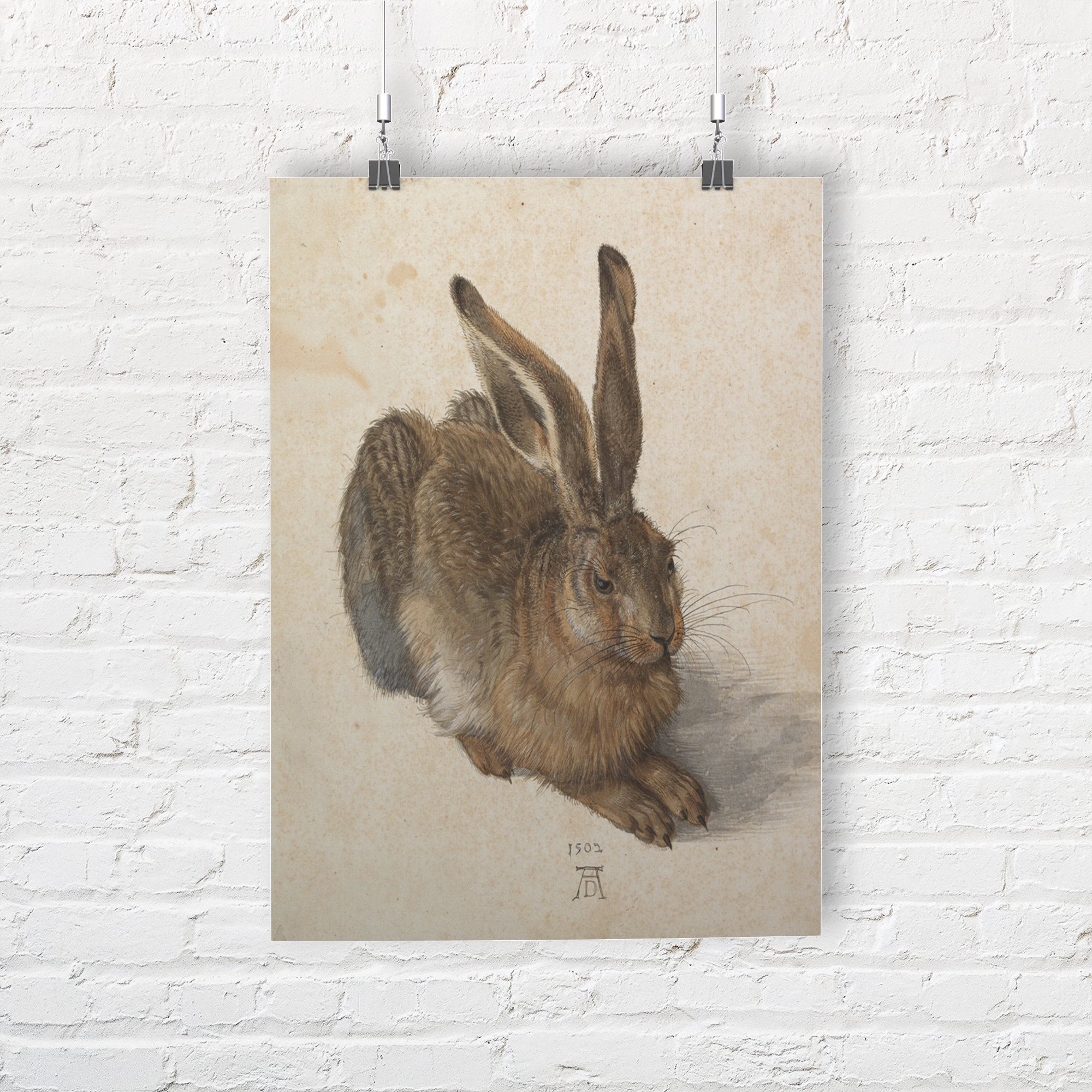Albrecht Durer: A Young Hare. Fine Art Print/Poster. 001925 | Etsy