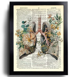 Anatomy Print Set 6 Medical Wall Art Anatomical Poster Home Decor Gifts ...