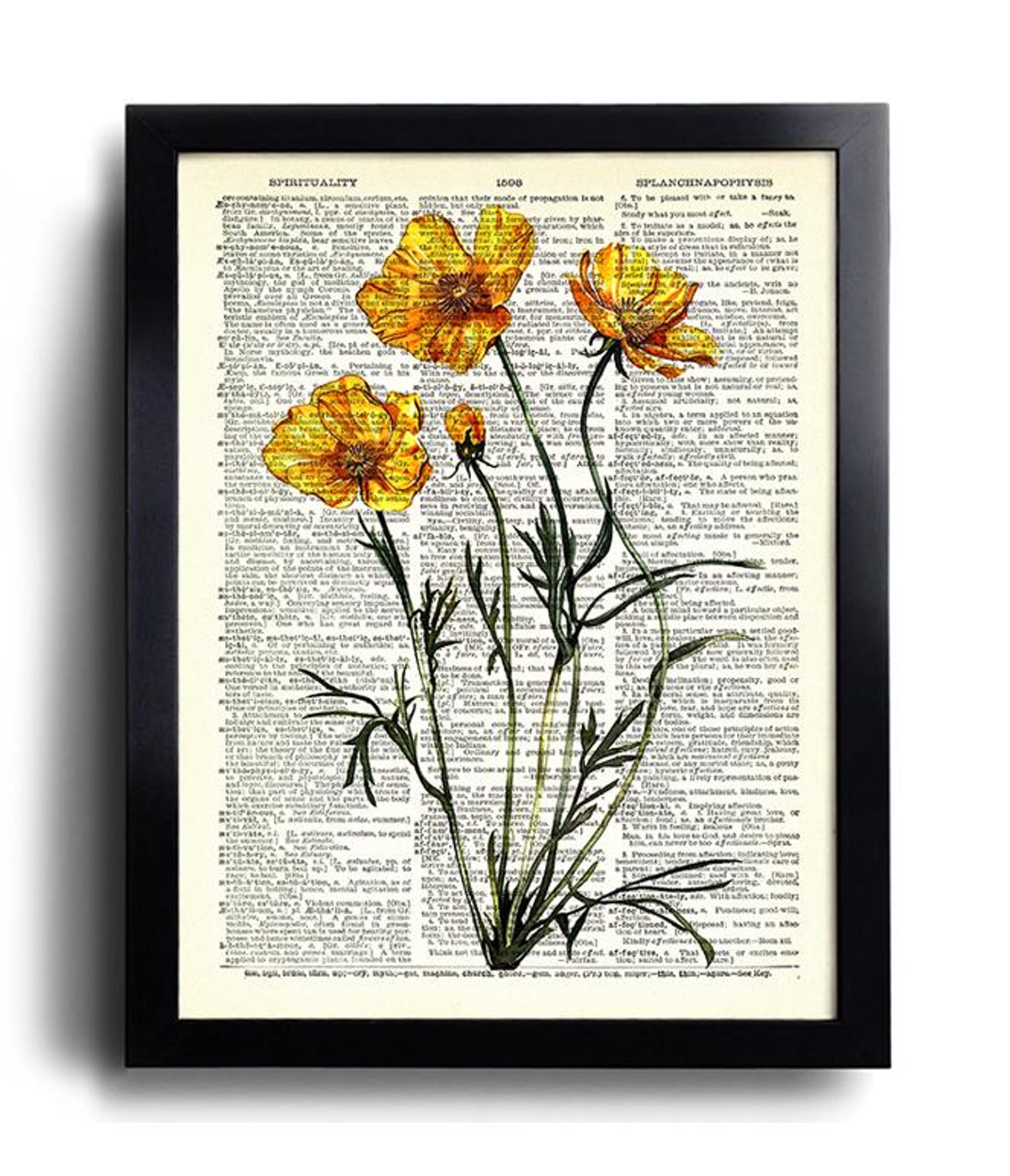 Wildflower Prints Set of 6 Wildflower Poster Wildflowers Wall Art ...