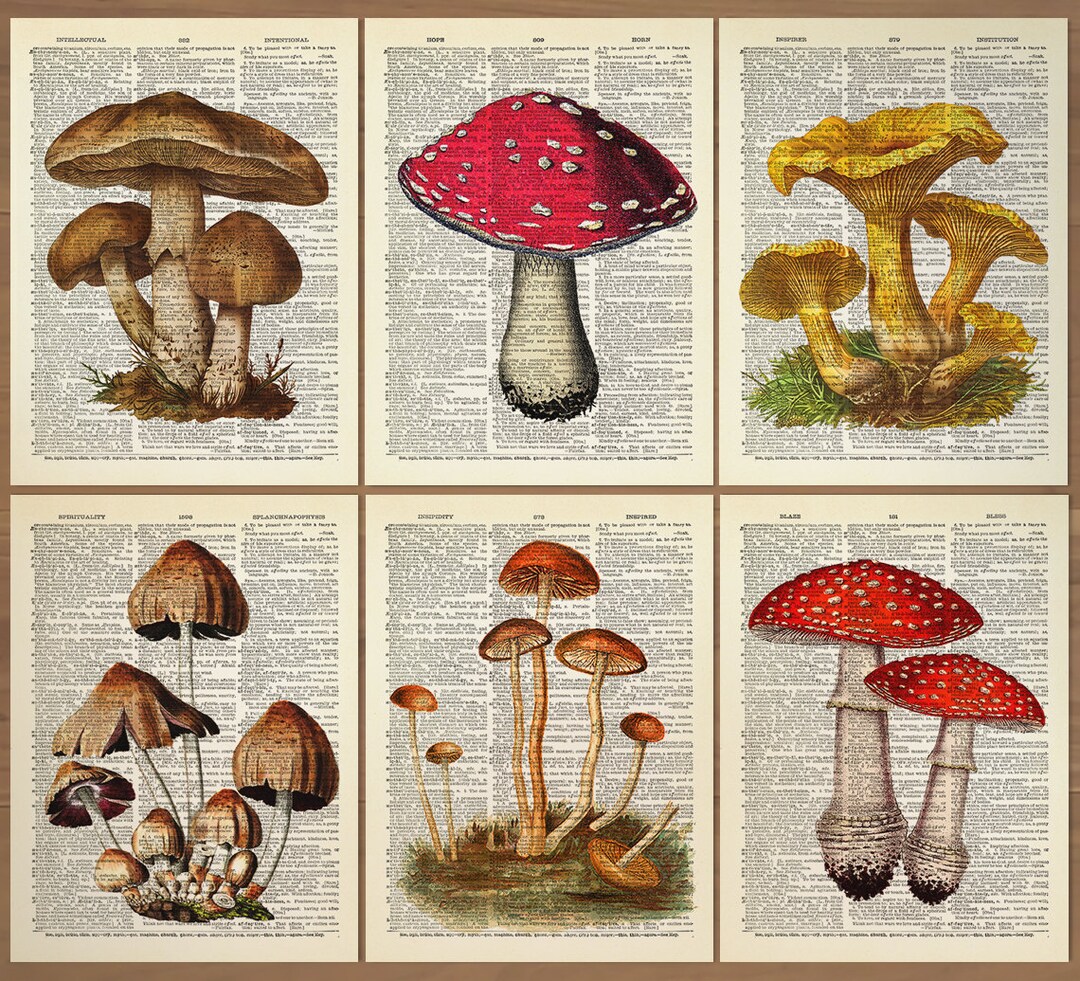 Mushroom Print Mushroom Decor Set of 6 Prints Mushroom Poster Mushroom ...