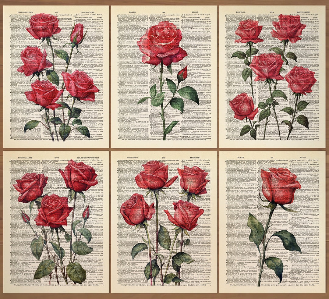 Rose Flower Print Set of 6 Rose Flowers Wall Art Rose Poster Rose Print ...