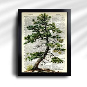 Pine Tree Print Set of 6 Pine Poster Pine Cone Print Forest Art Country ...