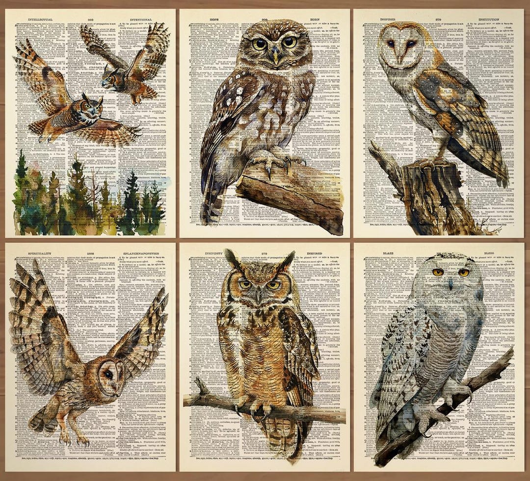 Owl Print Set of 6 Owl Woodland Animals Wall Art Owl Poster Owl ...