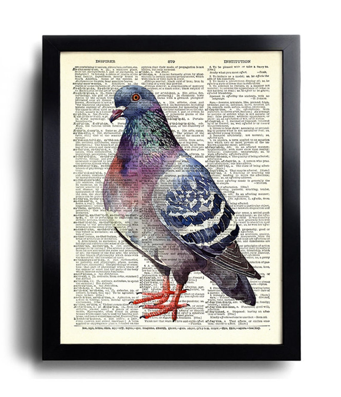 Pigeon Print Set of 6 Pigeon Poster Pigeon Bird Print Pigeon Wall Art ...