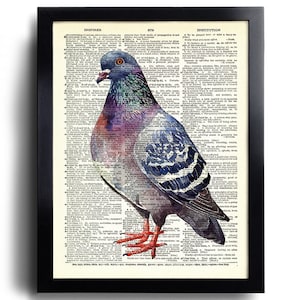 Pigeon Print Set of 6 Pigeon Poster Pigeon Bird Print Pigeon Wall Art ...