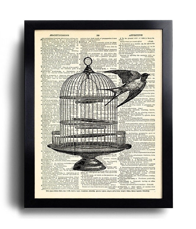 Bird Cage Art