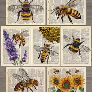 Bee Print Set of 7 Prints Bee Poster Bee Farmhouse Decor Bumble Bee Art ...