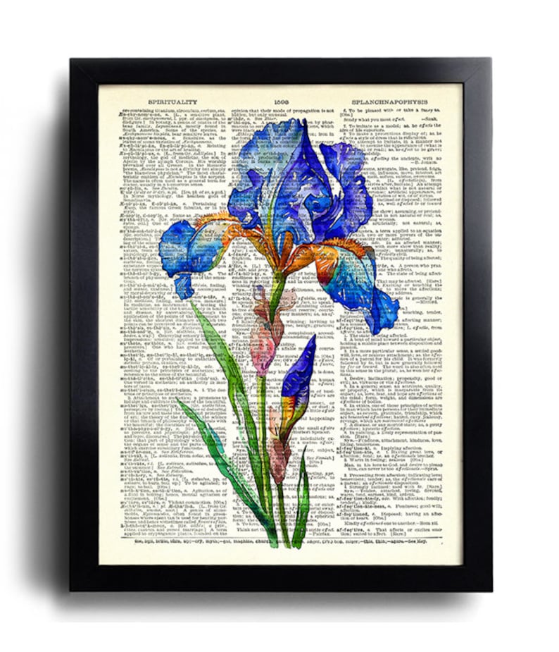 Iris Flower Print Set of 6 Iris Flowers Wall Art Iris Poster Iris Print ...
