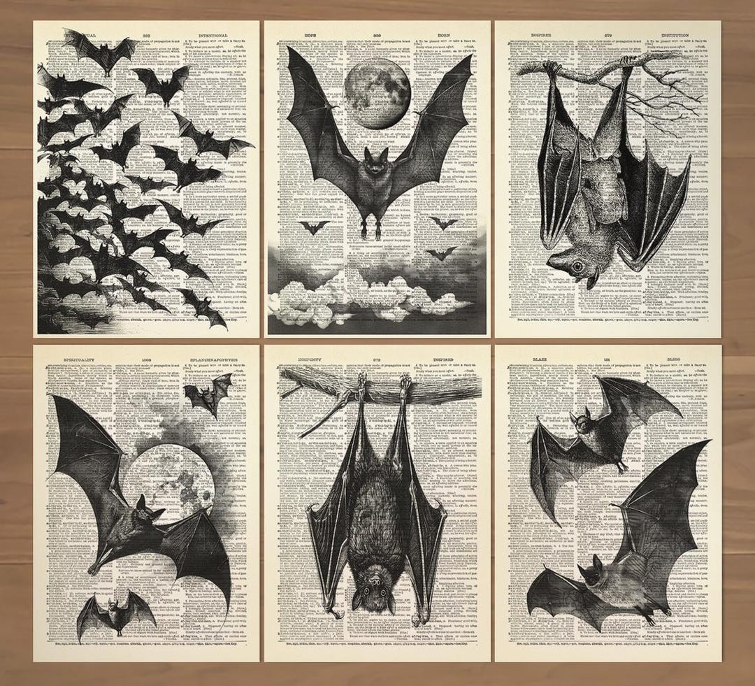 Bat Print Set of 6 Prints Bat Poster Bat Gothic Decor Bat Wall Art Bat ...