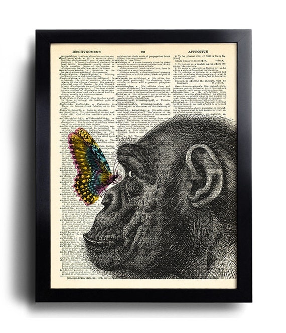 Cool Monkey Butterfly Art Print Poster Print Vintage Book | Etsy