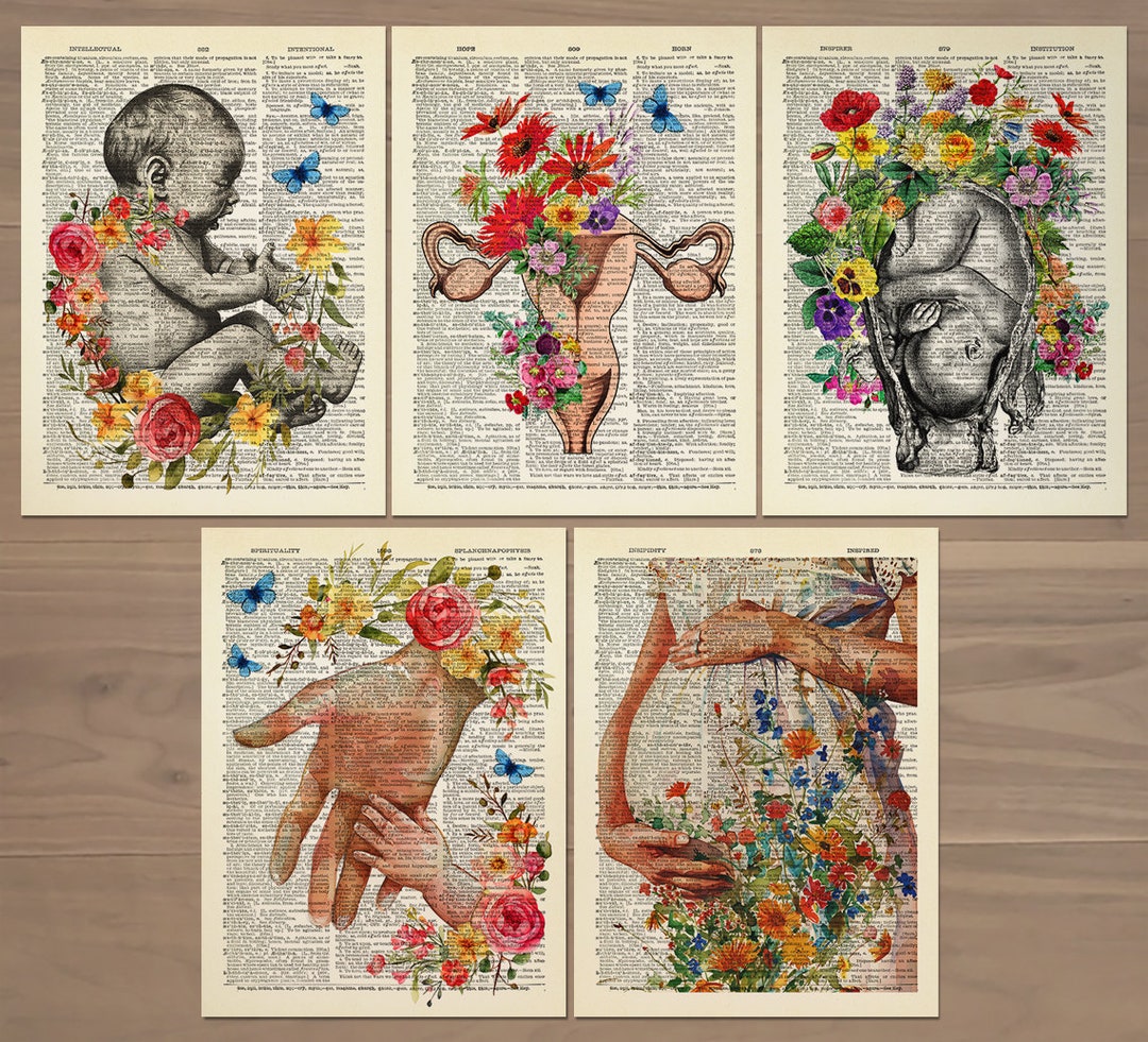 Pregnancy Print Set of 5 Pregnancy Gift Fetus in Womb Embryo Print ...