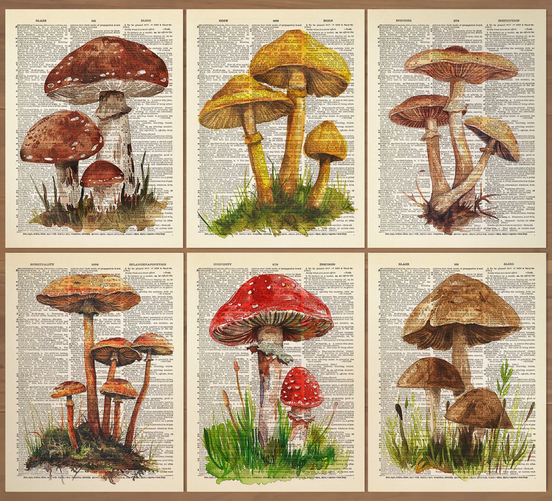 Mushroom Print Mushroom Decor Set of 6 Prints Mushroom Poster Mushroom ...
