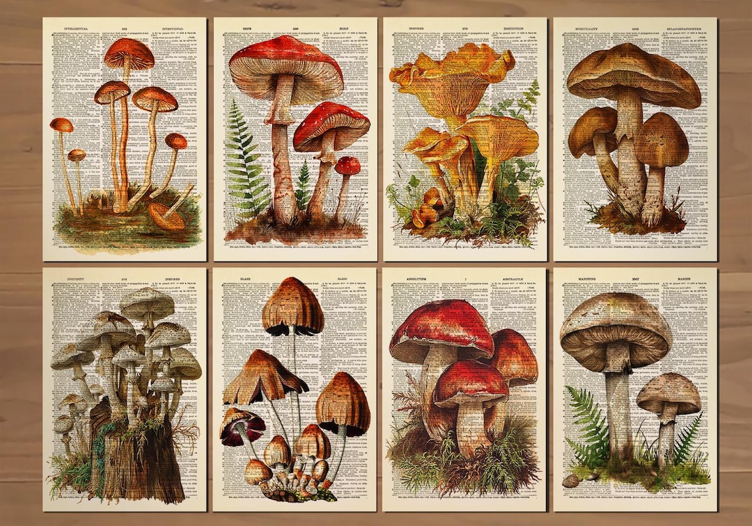 Mushroom Print Mushroom Decor Set of 8 Prints Mushroom Poster Mushroom ...