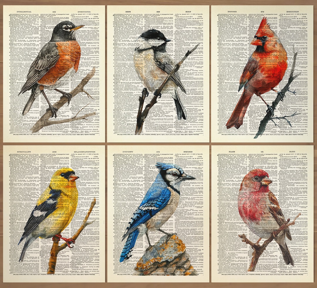 Bird Print Set of 6 Birds Poster Cardinal Print Goldfinch Bird Gift ...