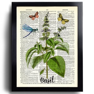 Kitchen Herbs Print Set of 6 Prints Oregano Poster Basil Wall Decor ...
