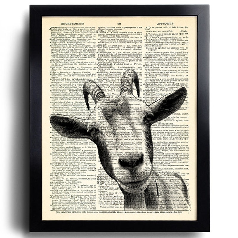 Goat Poster - Etsy