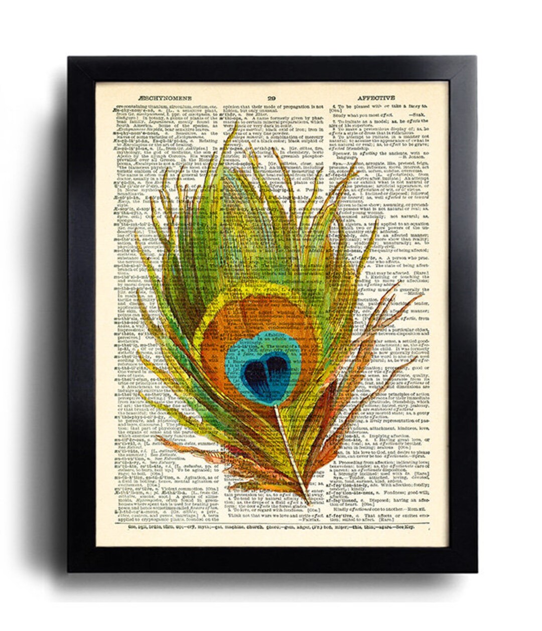 Peacock Feather Bird Art Print Birds Art Print Dictionary Page Art ...