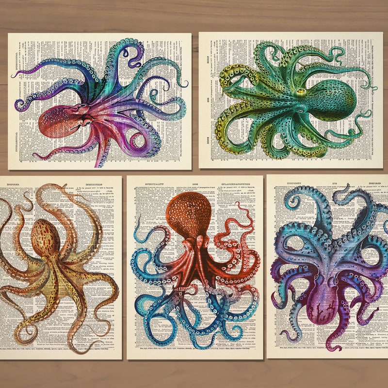 Octopus Print - Etsy