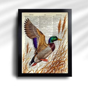Mallard Duck Art Print Set of 7 Ducks Wall Art Ducks Painting Ducks ...